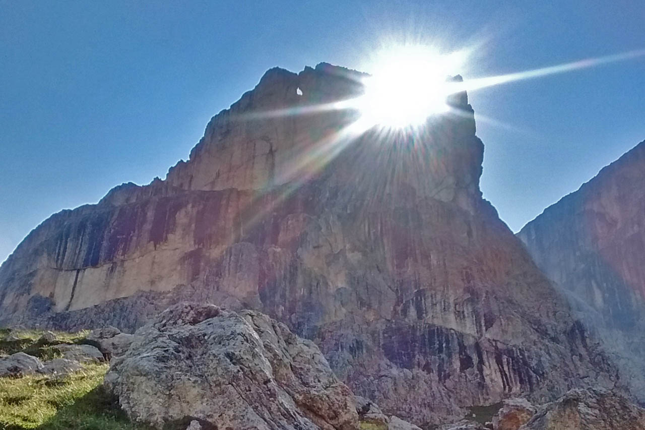 Wild Rose - Window Tower - Rifugio Roda di Vael